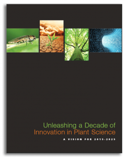 Career Opportunities for Plant Scientists | Plant Science Today