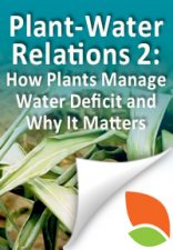 What happens when “nature’s driving force” runs dry? | Plant Science Today