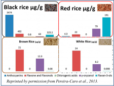 “The Birth of a Black Rice Gene”: Empirical evidence for Emperor’s Rice ...