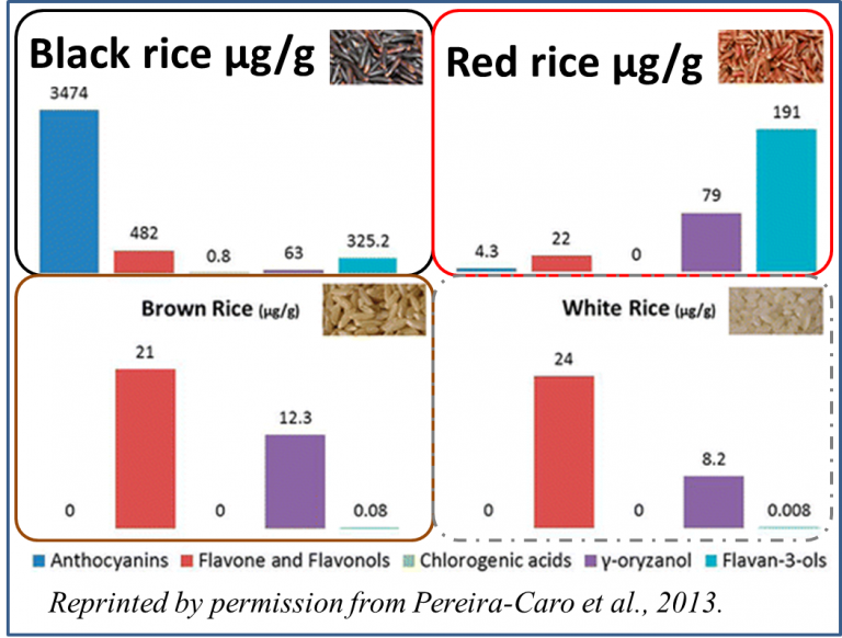 “The Birth of a Black Rice Gene”: Empirical evidence for Emperor’s Rice ...