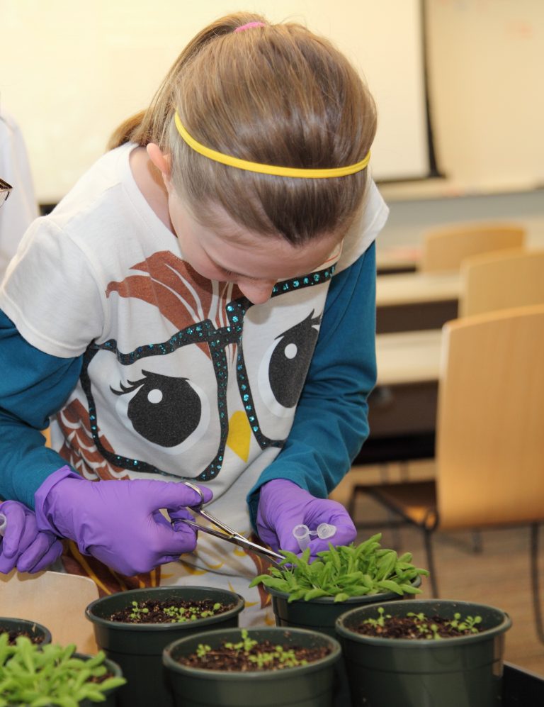 Growing curiosity: Using plants to engage students in hands-on science ...