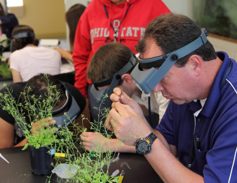 Growing curiosity: Using plants to engage students in hands-on science ...