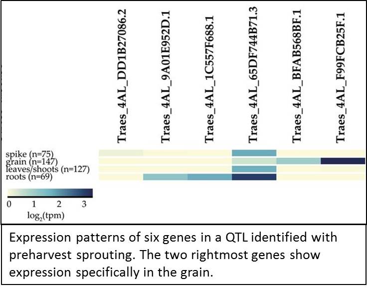 Getting The Most Out Of Rna Seq Data With Expvip Expression Visualization And Integration