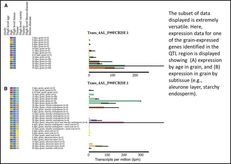 Getting the most out of RNA-seq data with expVIP (Expression ...