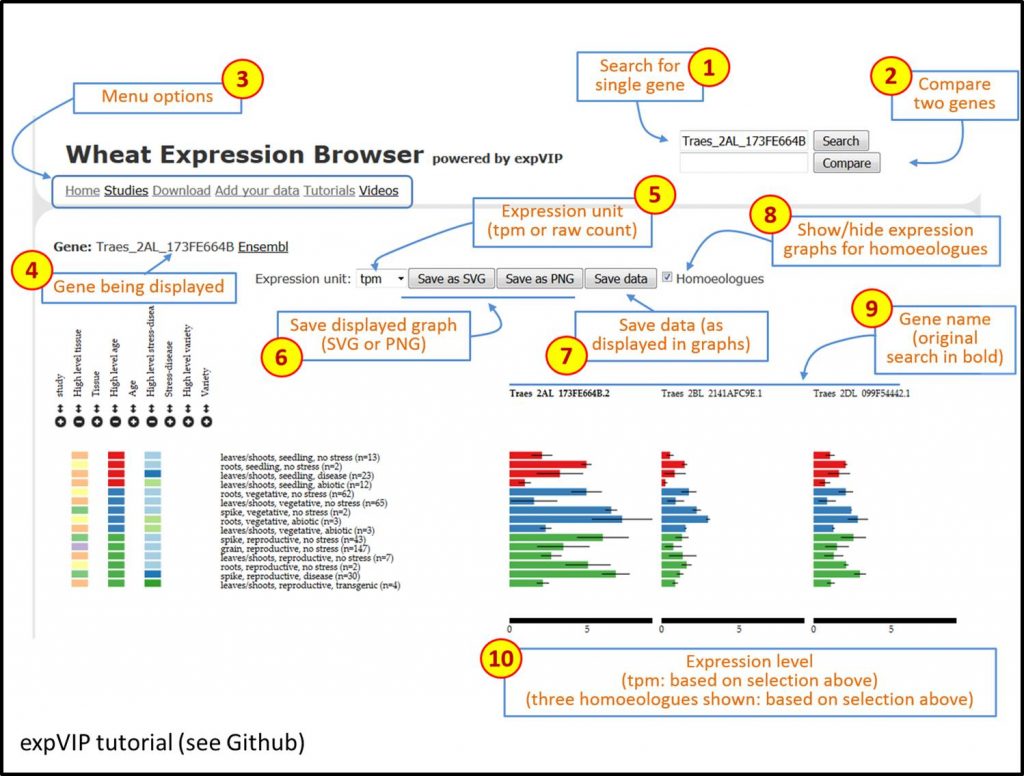 Getting The Most Out Of Rna Seq Data With Expvip Expression Visualization And Integration