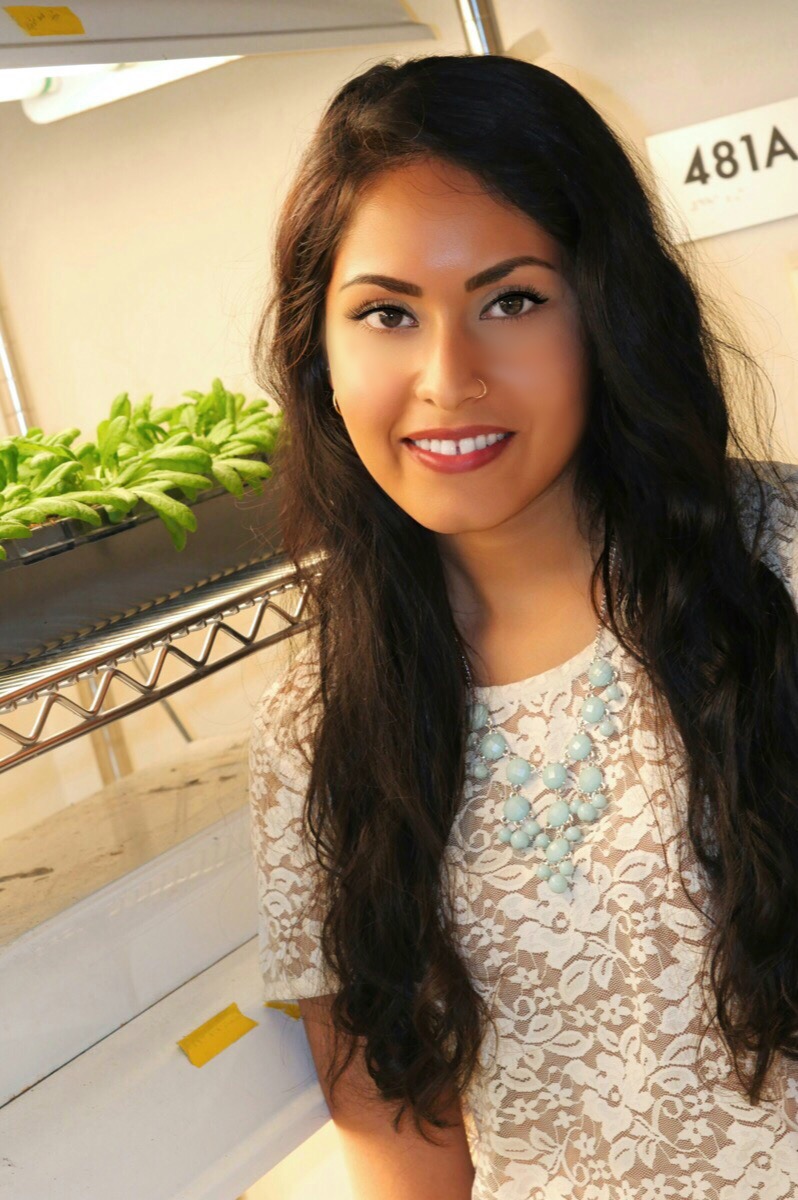 SURF’s Up! 2016 Summer Undergraduate Research Fellows | Plant Science Today