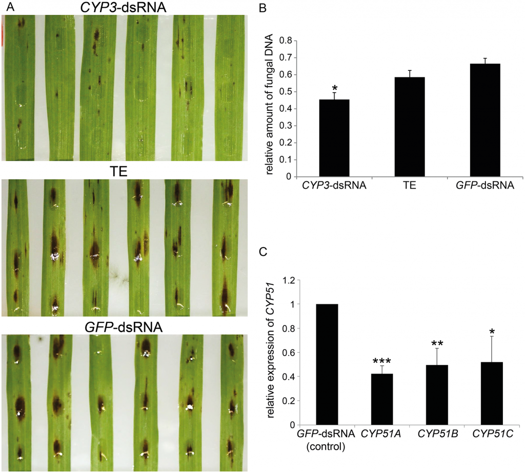 What We’re Reading: October 21 | Plant Science Today