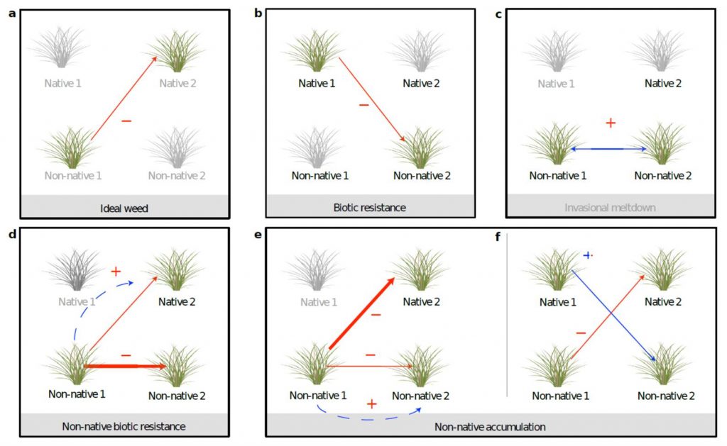 What We’re Reading: October 21 | Plant Science Today