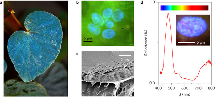 What We’re Reading: Oct 28 | Plant Science Today