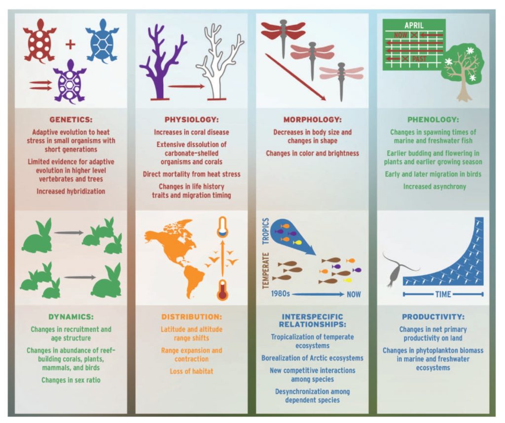 What We’re Reading: November 25 | Plant Science Today