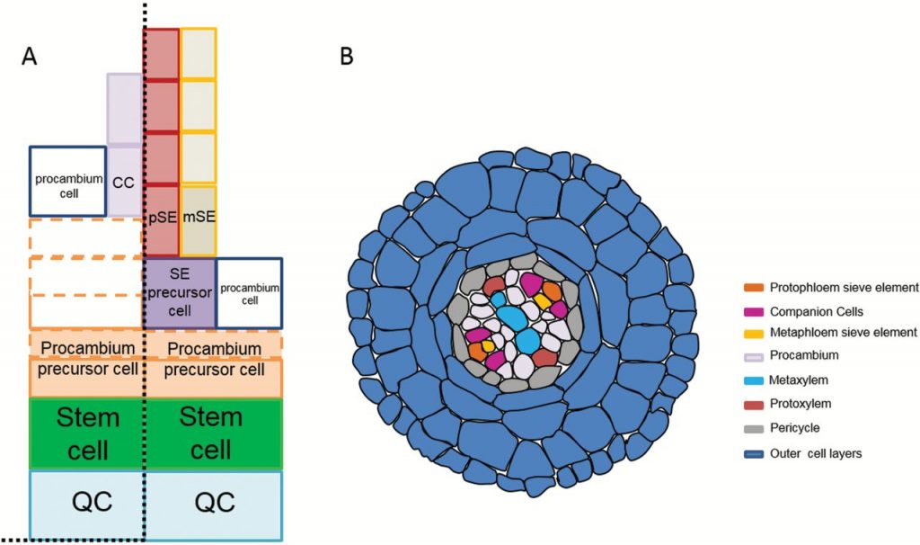 What We’re Reading: Nov 11 | Plant Science Today