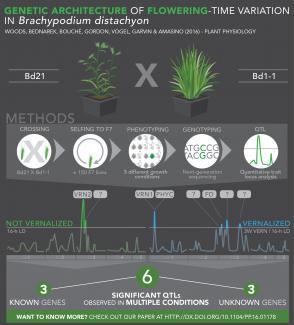 Communicating Effectively with Graphics | Plant Science Today