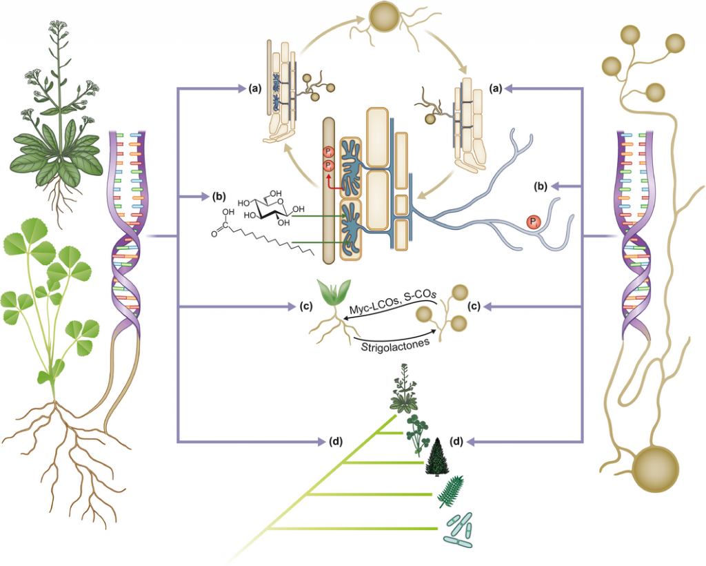 What We’re Reading: Nov 4 | Plant Science Today