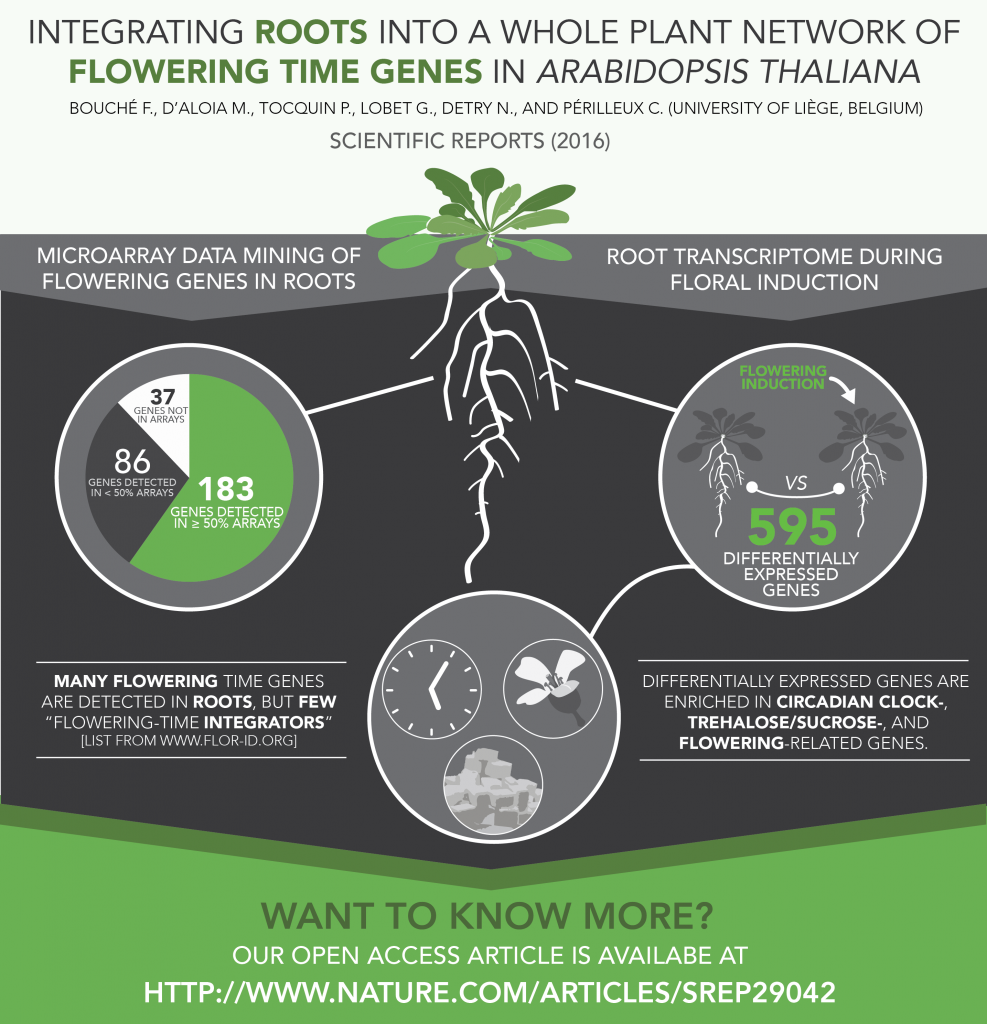 Top Ten 2016 Plant Science Today posts | Plant Science Today