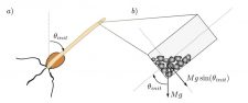 What We’re Reading: December 9 | Plant Science Today