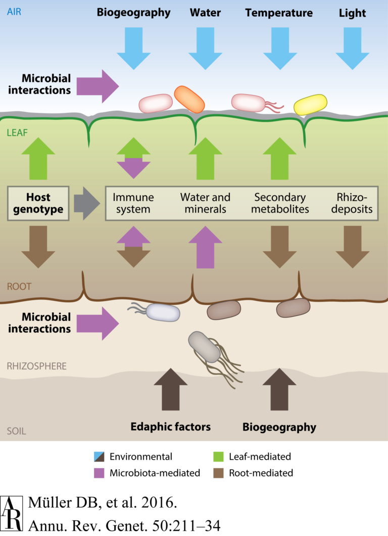 What We’re Reading: Dec 16 | Plant Science Today