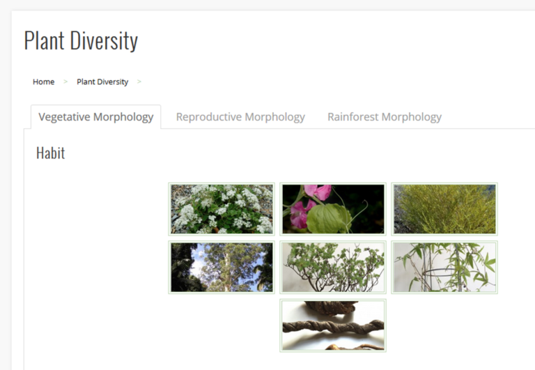BotanyOnline: Shared learning-support resources for improving Botanical ...