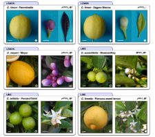 What We’re Reading: February 17 | Plant Science Today