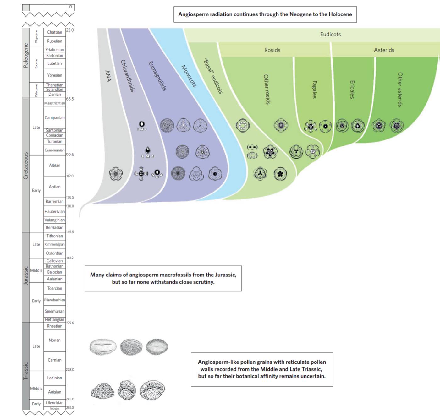 What We’re Reading: March 24 | Plant Science Today
