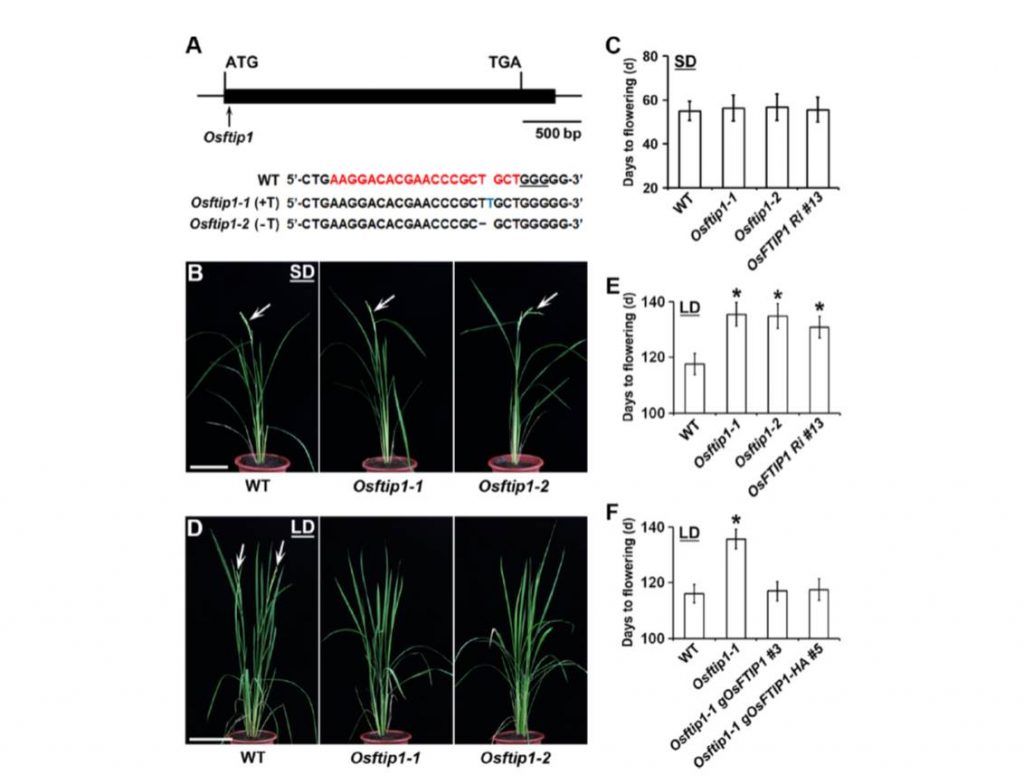 What We’re Reading: March 10 | Plant Science Today