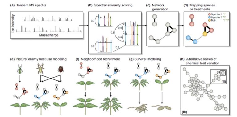 What We’re Reading: March 3 | Plant Science Today