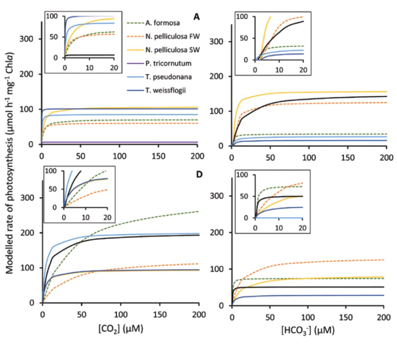 Plantae | What We’re Reading: April 7th | Plantae