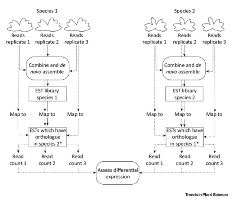 What We’re Reading: April 14 | Plant Science Today