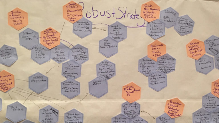 Pathways Not Pipelines: Reflections on a Plant Science Research Network ...