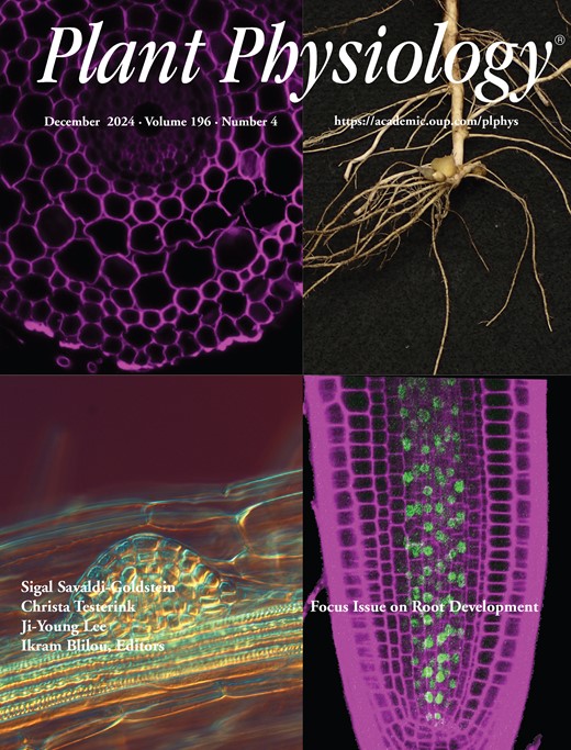 December 6: Plant Physiology Webinar, Focus on Root Development | Plant ...